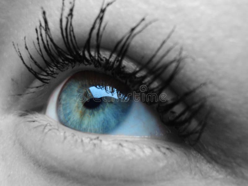 Ojo azul imagen de archivo. Imagen de hermoso, negro - 12291825