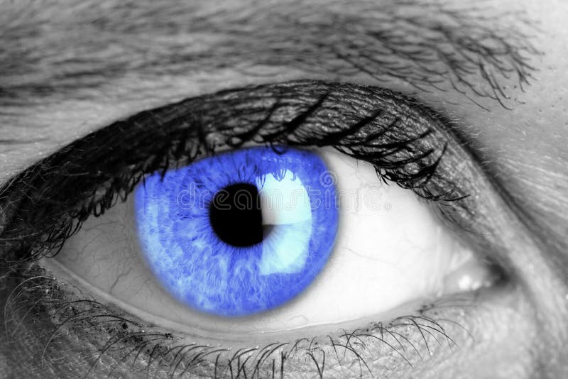 Foto Aislada Azul Del Ojo Humano Foto de archivo - Imagen de detalle ...