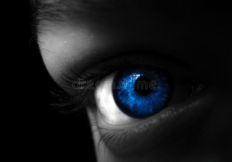 Ojo azul foto de archivo. Imagen de ceja, vista, blanco - 5969106