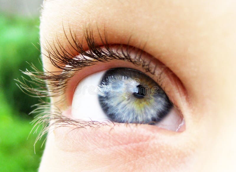 Ojo azul foto de archivo. Imagen de cierre, humano, eyeball - 1353690