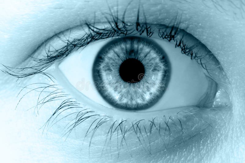 Ojo azul macro humano imagen de archivo. Imagen de hermoso - 2417809