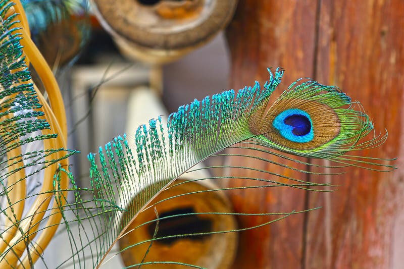 Ojo Del Pavo Real - Detalle Foto de archivo - Imagen de colorido ...