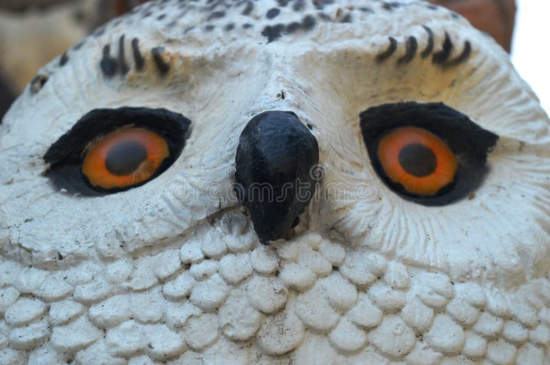 Ojo del buho imagen de archivo. Imagen de animal, amarillo - 14536823