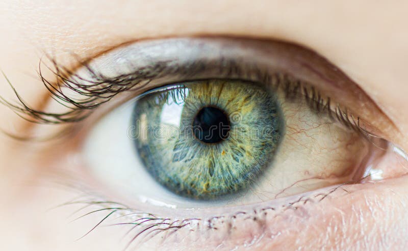 Ojo Verde En Foto Macro De Perfil. El Concepto De Pigmentación ...