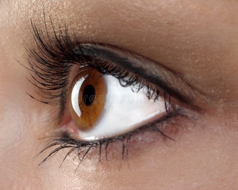 Ojo macro foto de archivo. Imagen de macro, manera, maquillaje - 11492526
