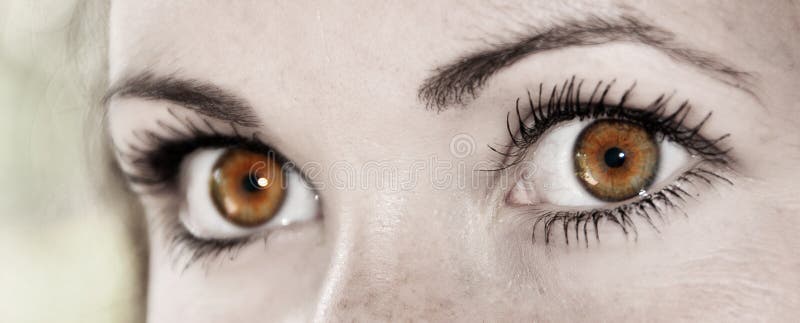 Ojos pardos hermosos imagen de archivo. Imagen de modelo - 83774181