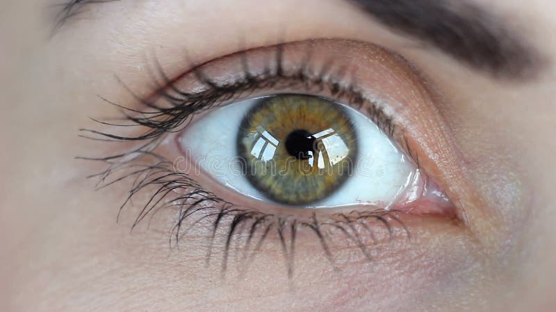 Ojos verdes-Incomodidad - Página 3 - Foros Perú