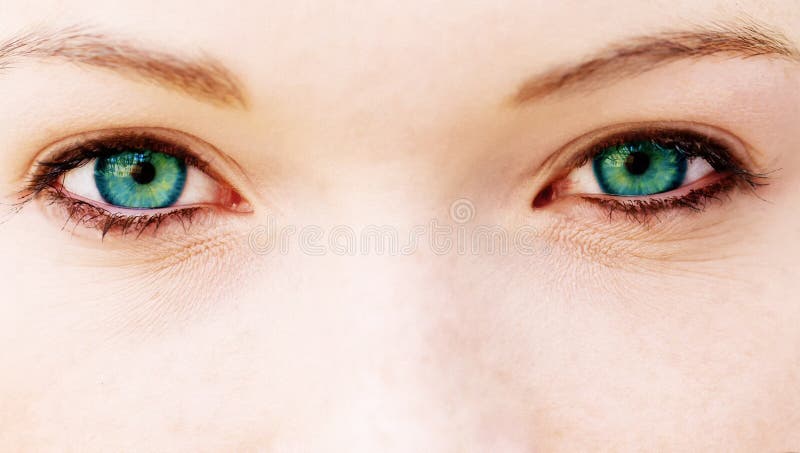 Ojos naturales foto de archivo. Imagen de ojos, adulto - 37731148
