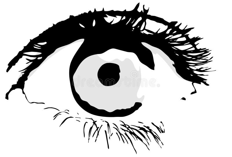 Ojos, vector ilustración del vector. Ilustración de color - 4522677