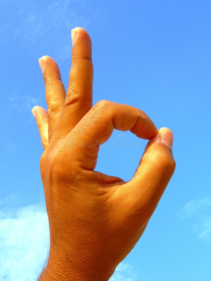 Online Gift Certificate stock photo. Image of office, celebration - 4836464