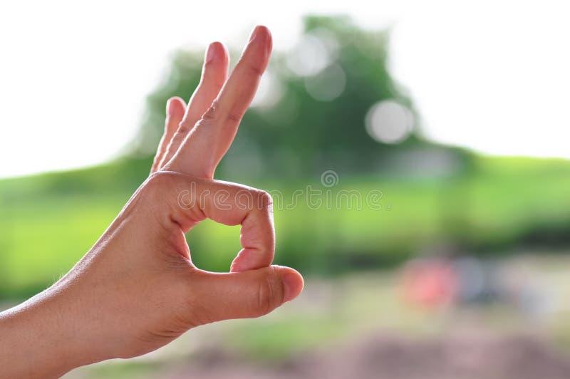 Ok sign with the hand stock image. Image of caucasian - 31015575
