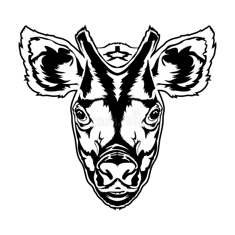 Okapi Face Vector Illustration in Hand Drawn Style Stock Vector ...