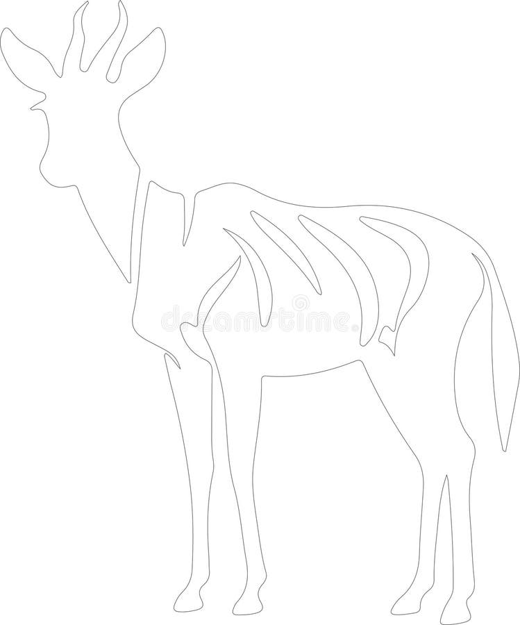 Okapi Stock Illustrations – 560 Okapi Stock Illustrations, Vectors ...