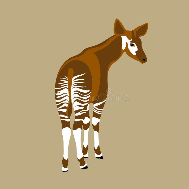 Vector Illustration Okapi Cartoon Stock Illustrations – 134 Vector ...