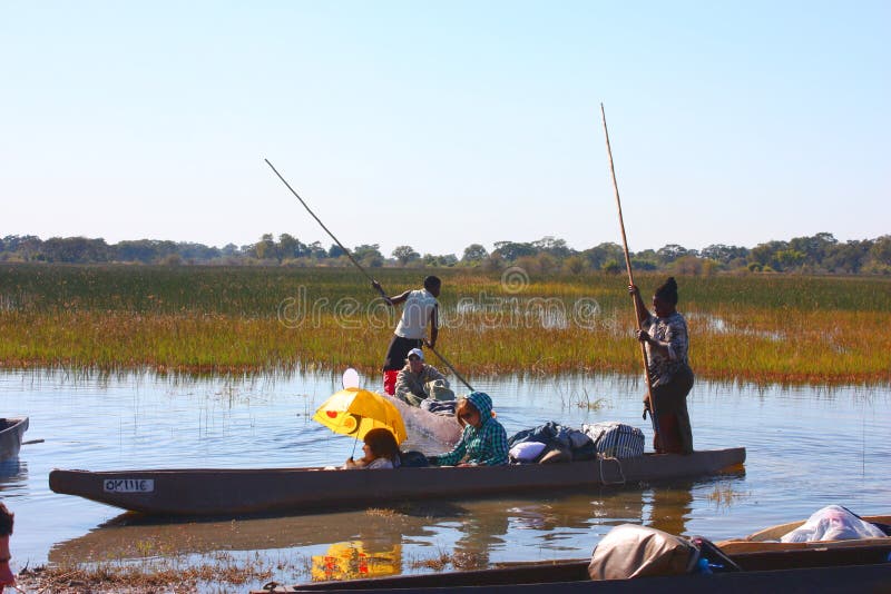 Okavango Delta editorial stock photo. Image of mokoro - 26306768