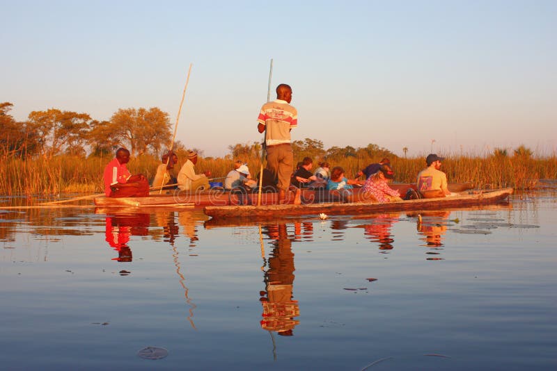 Okavango Delta stock photo. Image of calm, okavango, black - 26408286