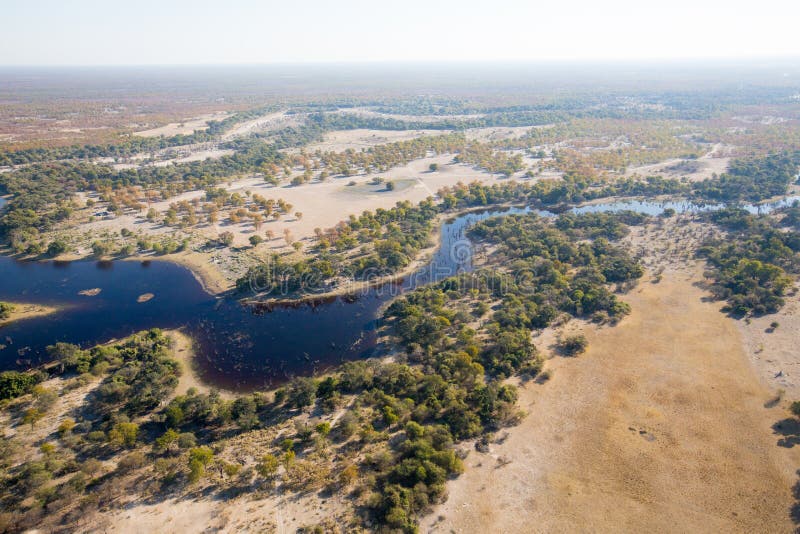 Okavango Delta stock image. Image of natural, okavango - 60863835
