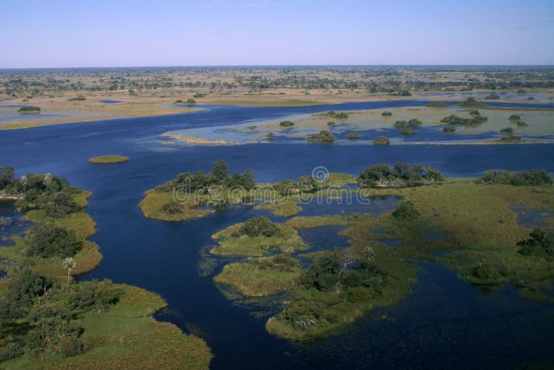 Okavango Delta by plane stock photo. Image of bush, moremi - 19919440