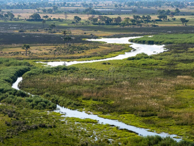 Okavango Landscape in Botswana Stock Photo - Image of grass, river ...