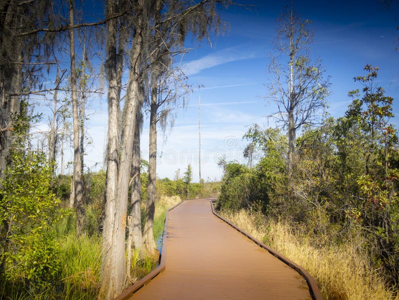 Beautiful Winter Landscape of Georgia Stock Image - Image of beautiful ...