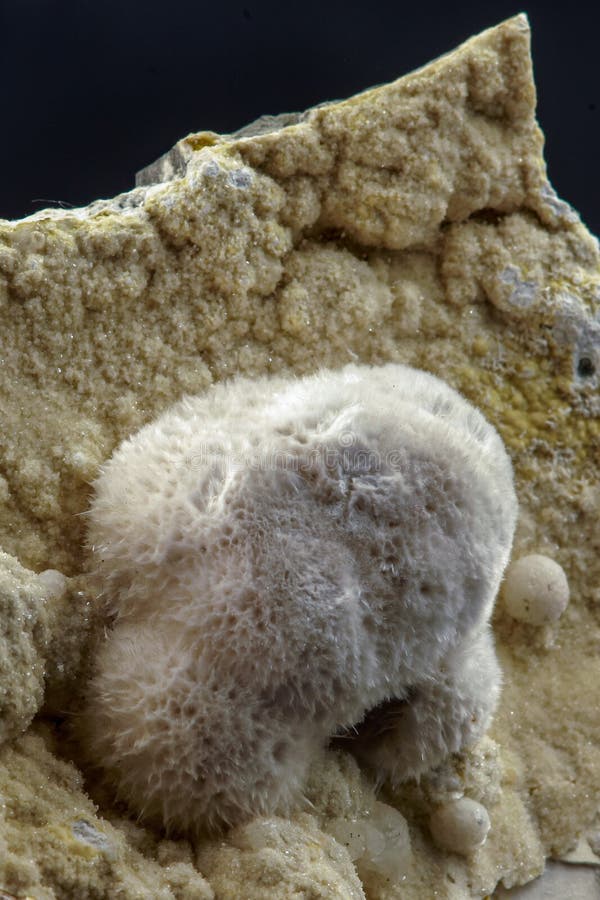 Okenite Mineral Rock Basalt Stock Image - Image of basalt, okenite ...