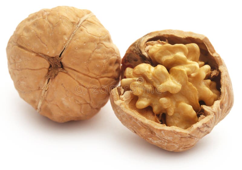 Okkernoot stock afbeelding. Image of zaad, organisch - 102297755