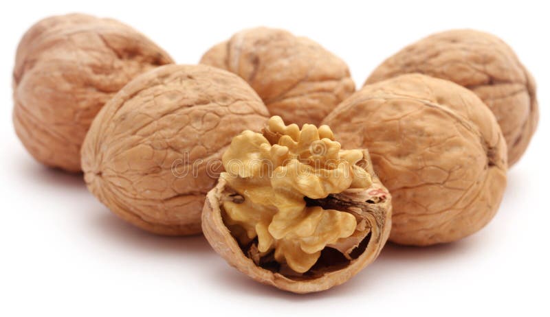 Okkernoot stock foto. Afbeelding bestaande uit zaad - 105055988