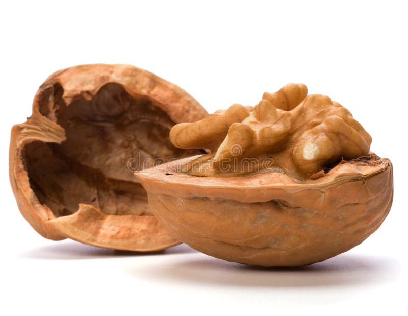 Okkernoot stock afbeelding. Afbeelding bestaande uit okkernoot - 12044163