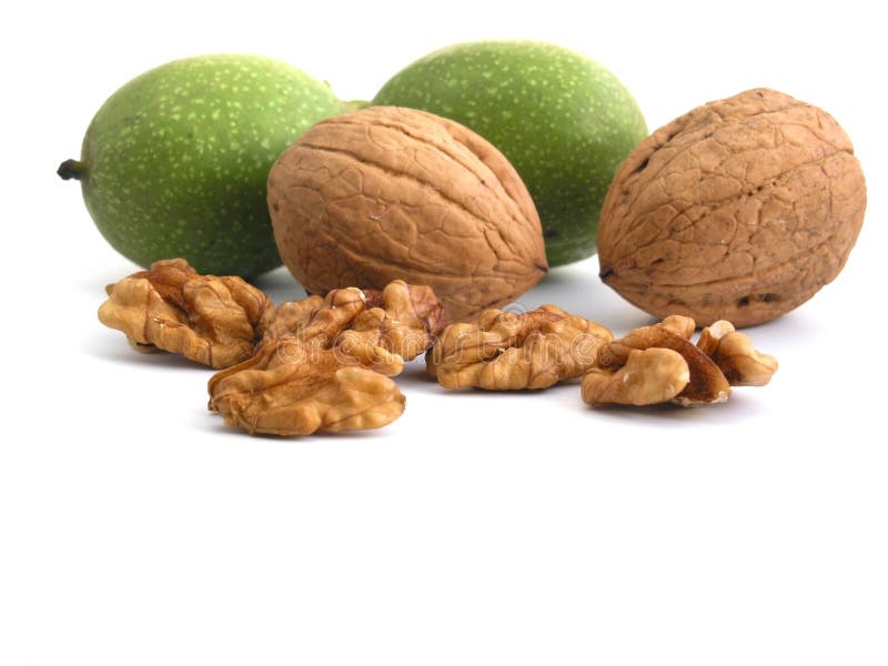 Okkernoot stock afbeelding. Image of nave, vers, gewaardeerd - 1295331