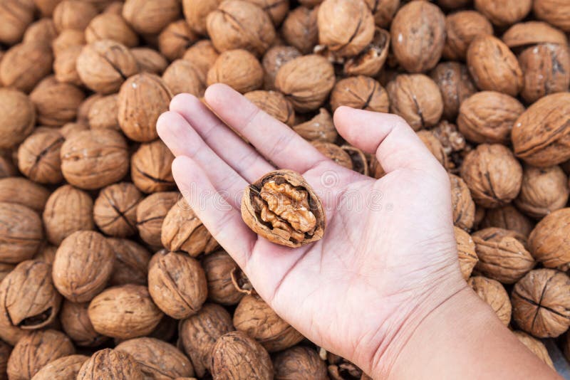 Gebarsten Walnoot, Pit Binnenin Stock Afbeelding - Image of sluit ...