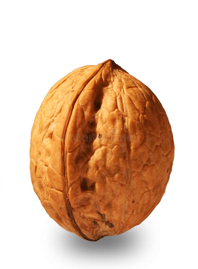 Walnoot stock foto. Image of koken, ingrediënt, levensstijl - 4141360