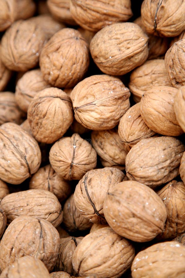 Okkernoot stock afbeelding. Image of snack, sluit, groep - 8380015