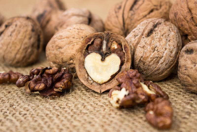 Okkernoot En Een Gebarsten Okkernoot Stock Afbeelding - Image of ...