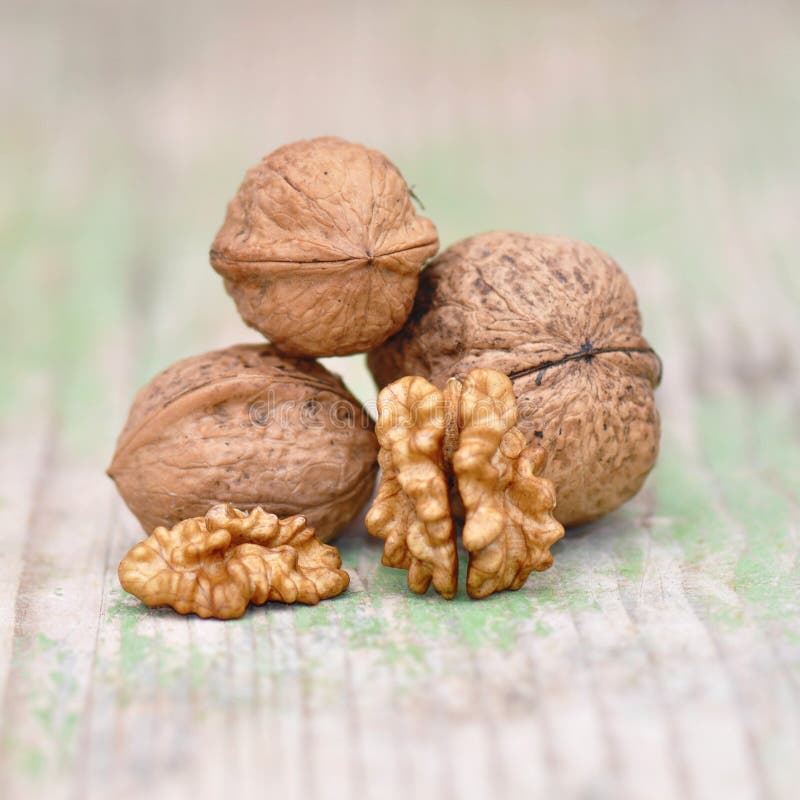 Okkernoten stock afbeelding. Image of vers, najaar, energie - 113320657