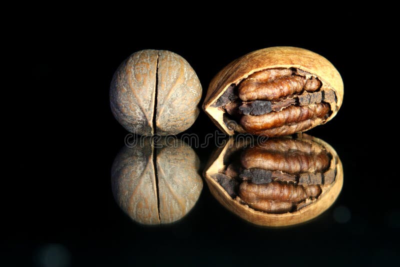 Okkernoten stock foto. Image of okkernoot, zwart, sluit - 1457198