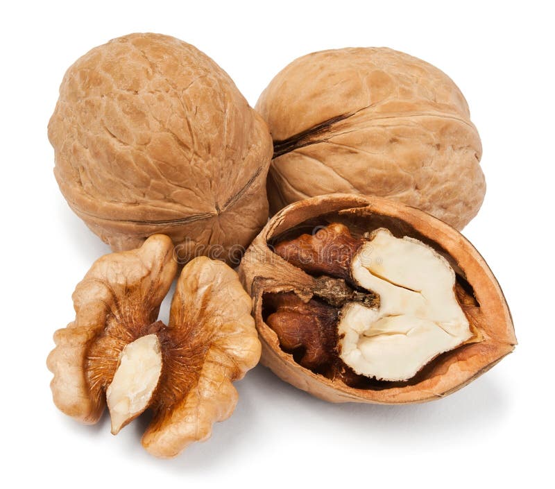 Okkernoten stock afbeelding. Image of noten, gezond, seizoengebonden ...