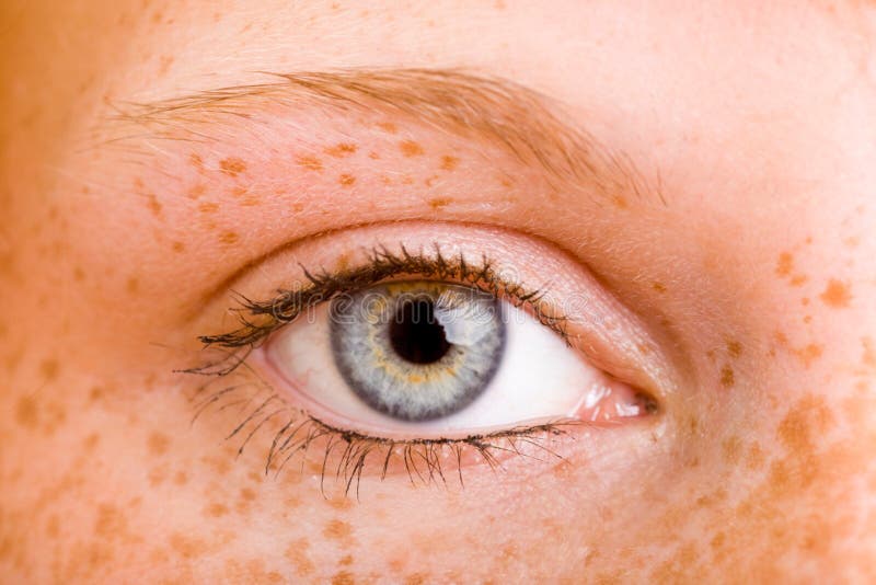 Oko obraz stock. Obraz złożonej z kontemplacja, irys - 10047937