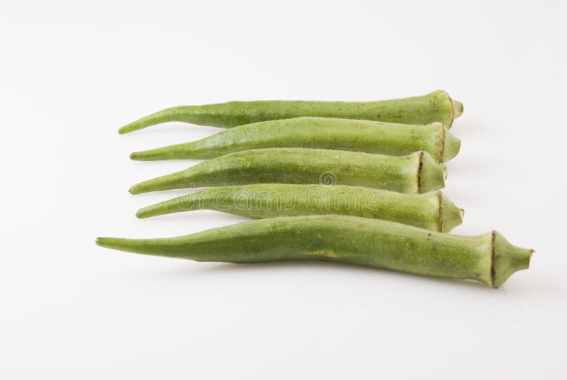 Okra Picture. Image: 6006291