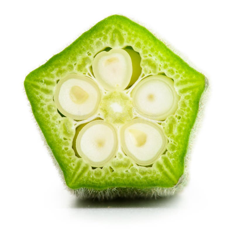 Pink flower pentagon shape stock photo. Image of beautiful - 35639054