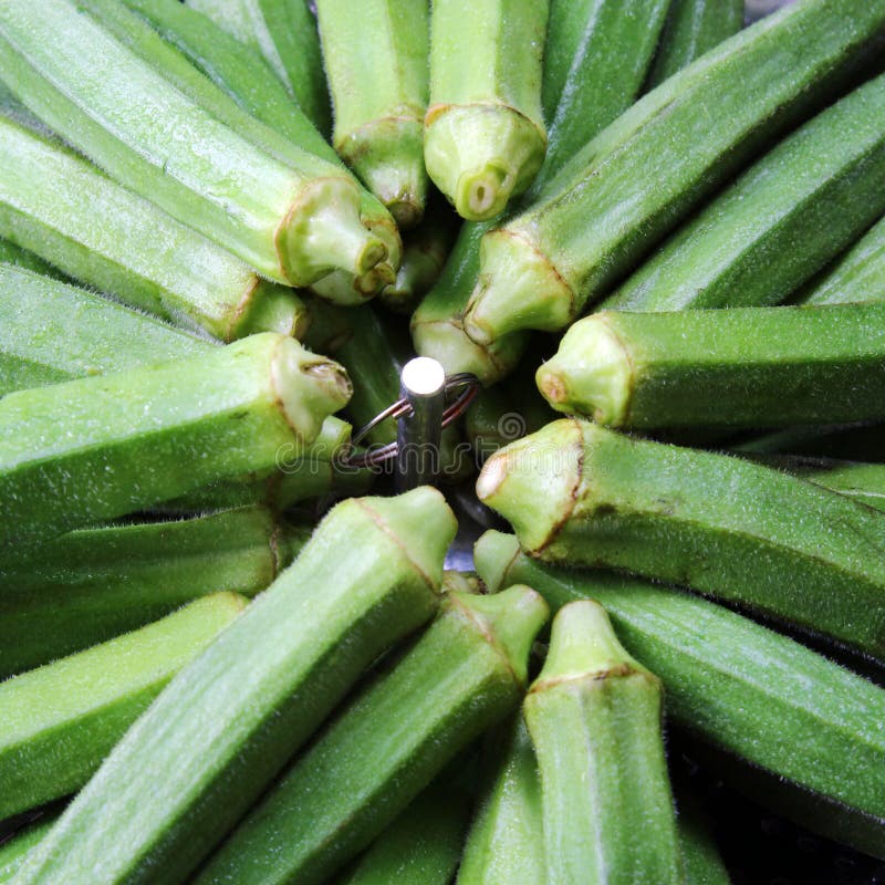 Okra or lady s finger stock photo. Image of nutrition - 74827890