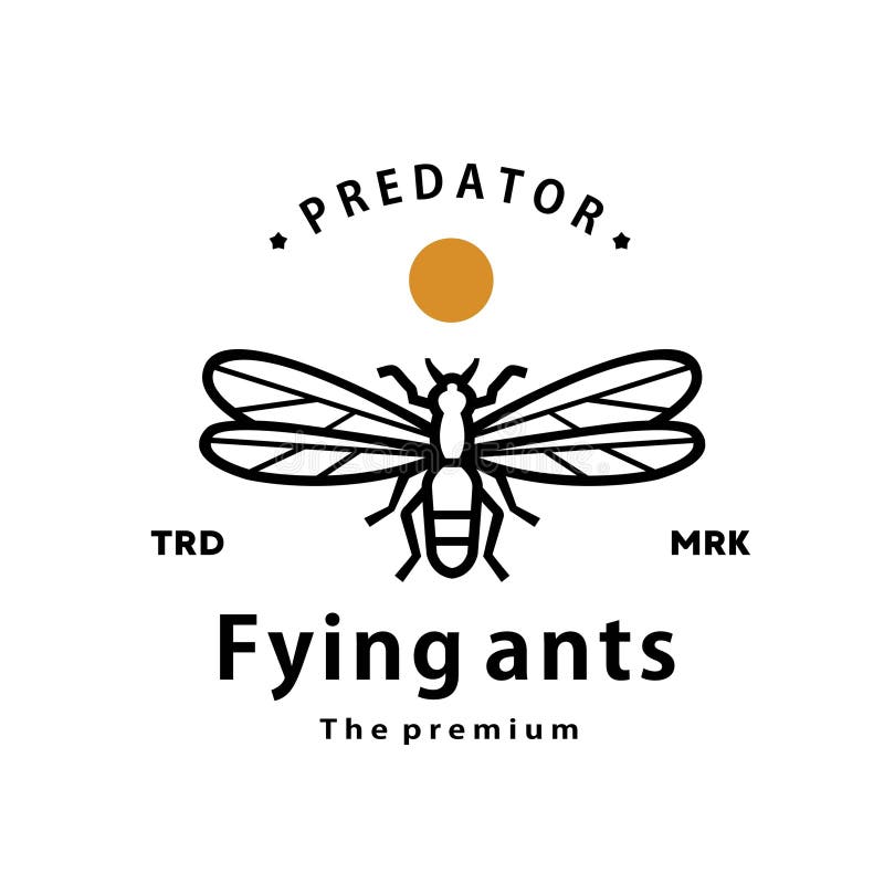 Silhouettee Icon Stock Illustrations – 14 Silhouettee Icon Stock ...