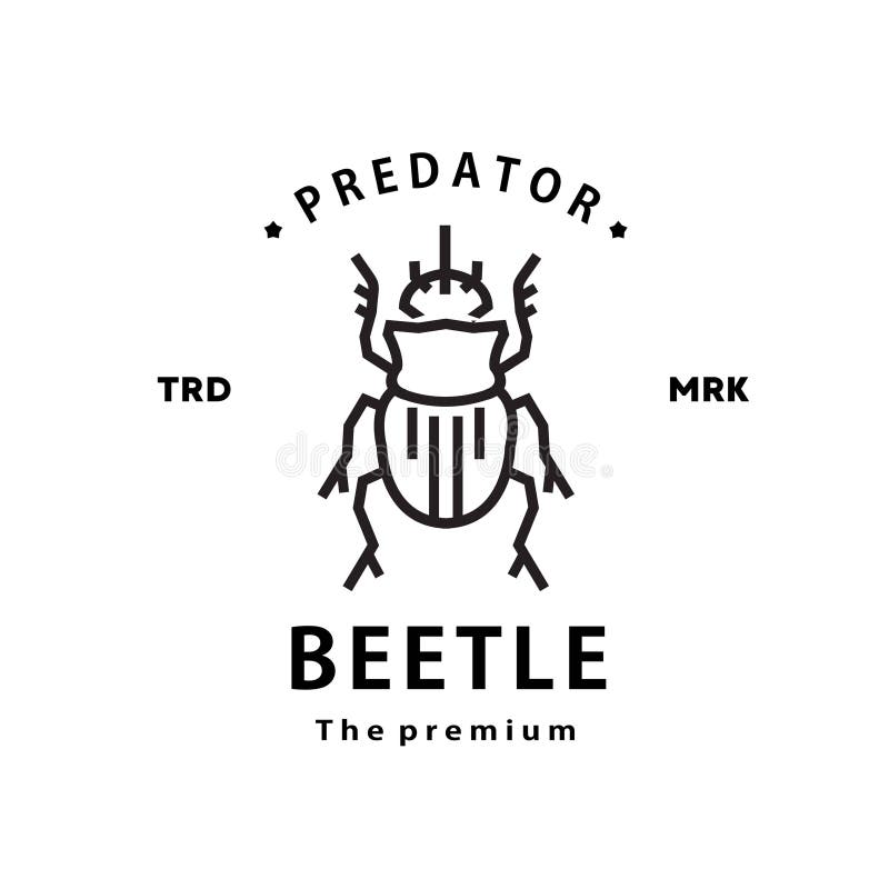 Beetle Logo Vector Outline Monoline Art Icon Stock Vector ...