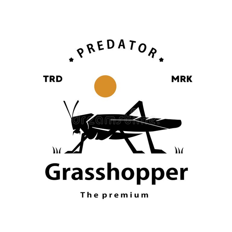 Hipster Grasshopper Logo Vector Outline Silhouette Art Icon Stock ...