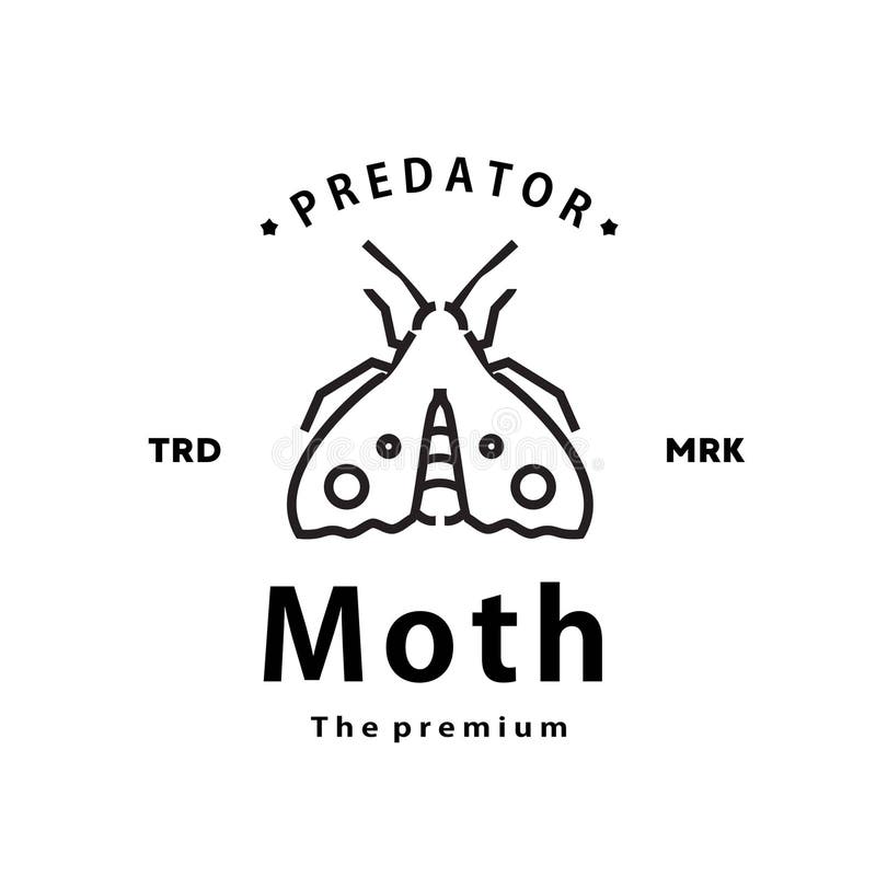 Moth Logo Vector Outline Monoline Art Icon Stock Vector - Illustration ...