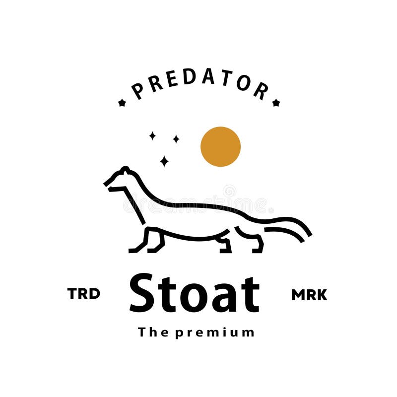 Stoat Logo Vector Outline Monoline Art Icon Stock Vector - Illustration ...