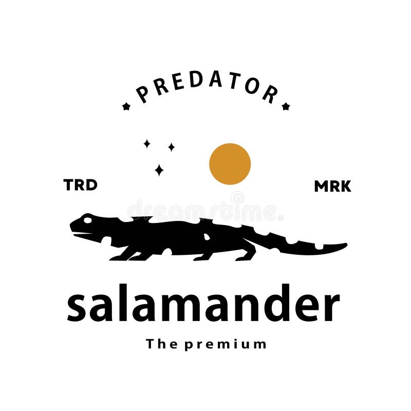 Salamander Logo Vector Outline Silhouette Art Icon Stock Vector ...