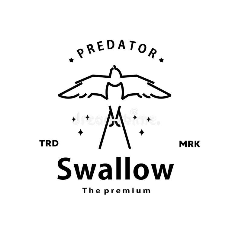 Swallow Logo Vector Outline Monoline Art Icon Stock Vector ...