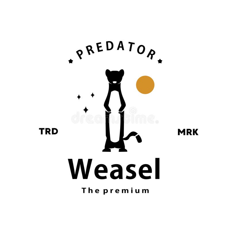 Weasel Logo Vector Outline Silhouette Art Icon Stock Vector ...