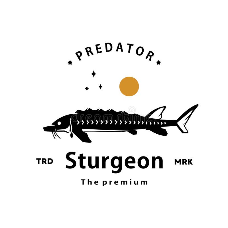 Sturgeon Logo Vector Outline Silhouette Art Icon Stock Vector ...