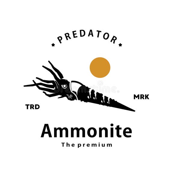 Ammonite Logo Vector Outline Silhouette Art Icon Stock Vector ...